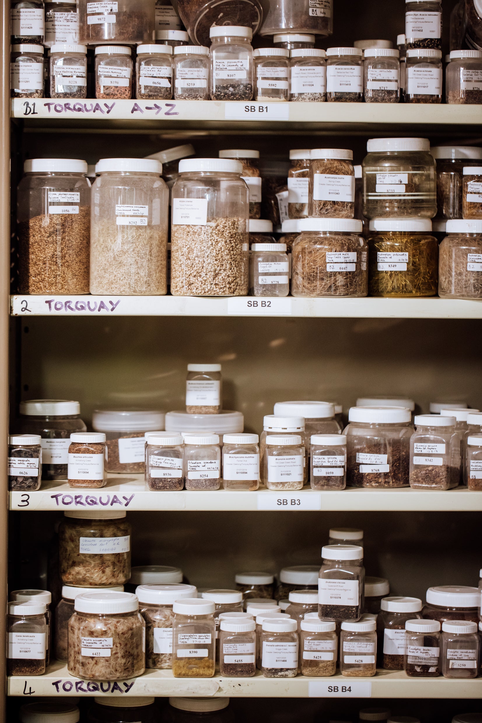 Seedbank and Seed Collection – Regen Nurseries